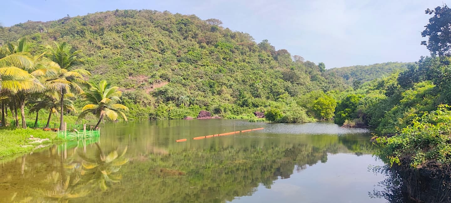Ultimate 3 Day North Goa Itinerary - Local Backpackers